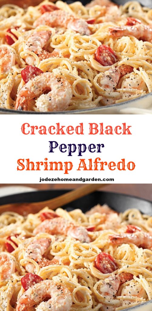 Cracked Black Pepper Shrimp Alfredo ~ NONDON